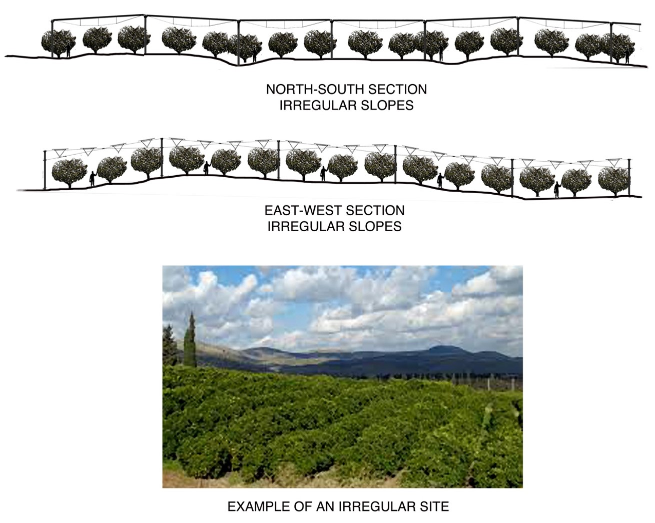 Products – Conger Solar Systems
